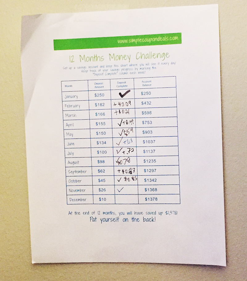 UPDATE: 12 Months Challenge, Month 11 – November $26 - Simple Coupon Deals