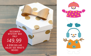 New Cricut Coupon Codes + December Mystery Box $45 ($190 Value ...